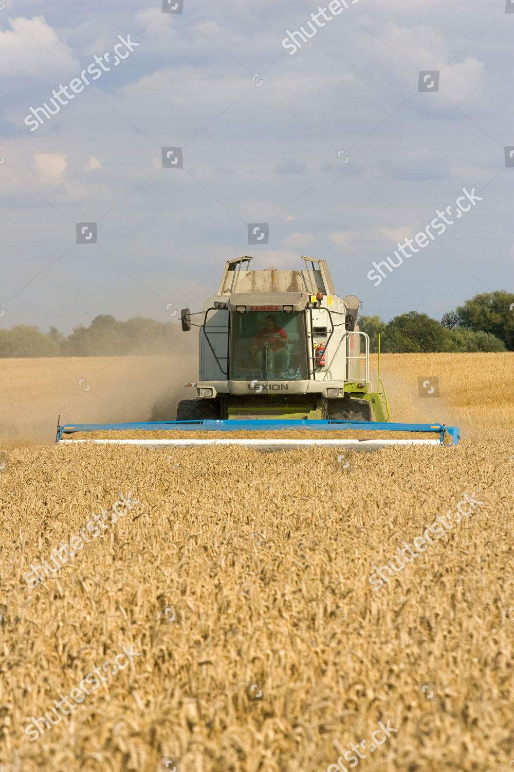 Harvesting Wheat Stripper Header Lincolnshire Editorial Stock Photo ...