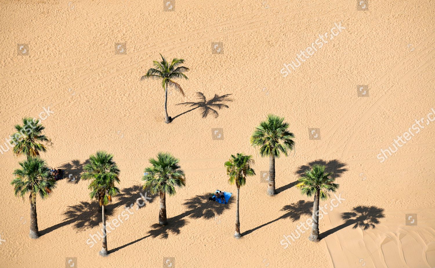Aerial View Palm Trees On Beach Editorial Stock Photo - Stock Image ...