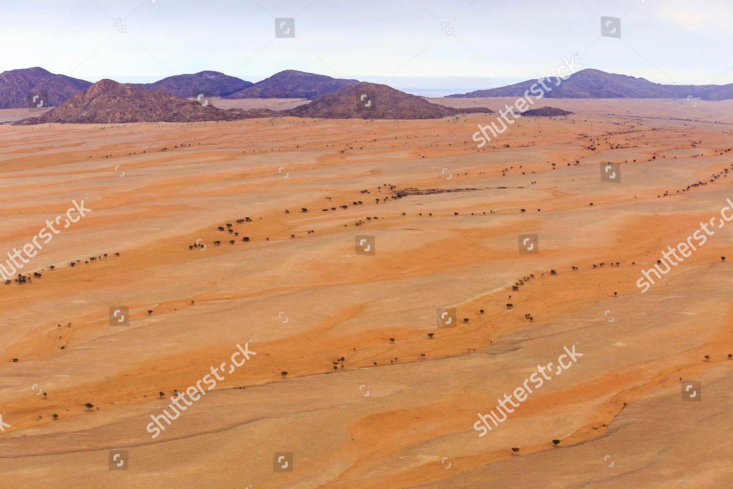 Aerial View Desert Landscape Dry Rivers Editorial Stock Photo - Stock ...