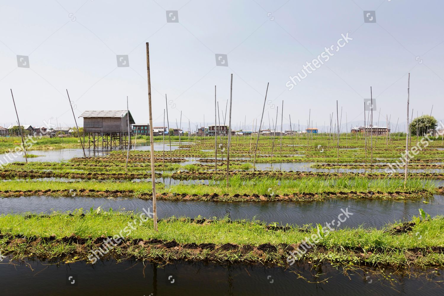 Floating Gardens Intha People Inle Lake Editorial Stock Photo - Stock ...