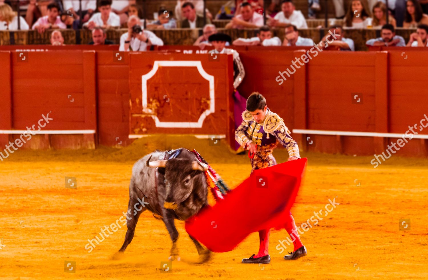 Racing Bull Matador Torero Toureiro Traditional Editorial Stock Photo ...