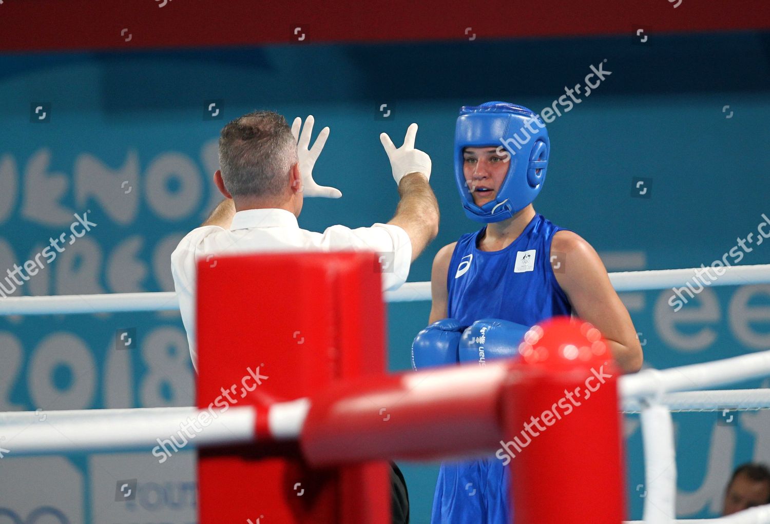 Judge Gives Instructions Australian Boxer Emma Editorial Stock Photo ...