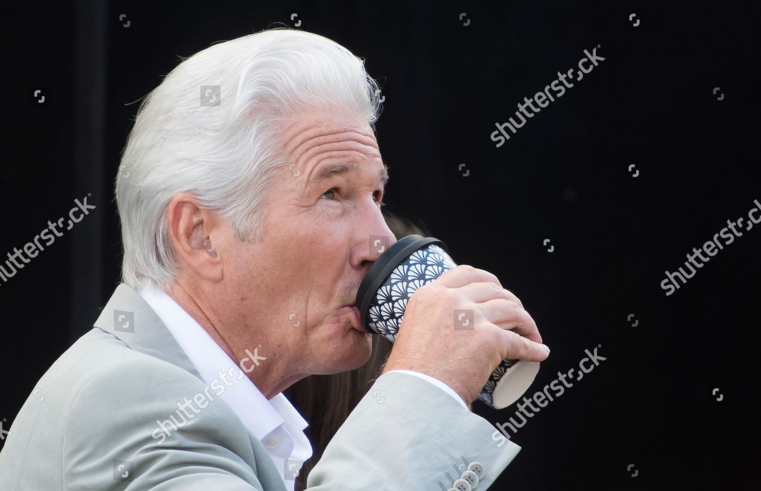 Us Actor Cast Member Richard Gere Editorial Stock Photo - Stock Image ...