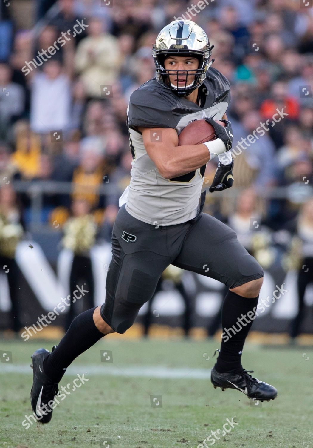 Purdue Tight End Cole Herdman 88 Editorial Stock Photo - Stock Image ...