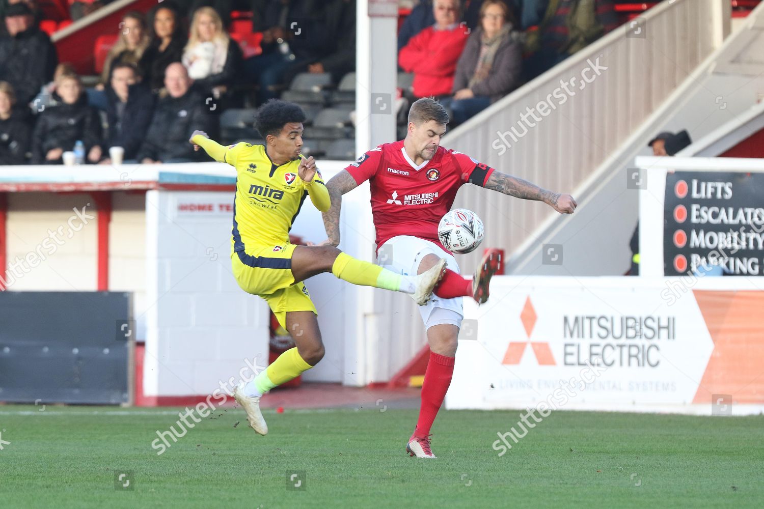 Jacob Maddox Sam Magri During Fa Editorial Stock Photo - Stock Image ...