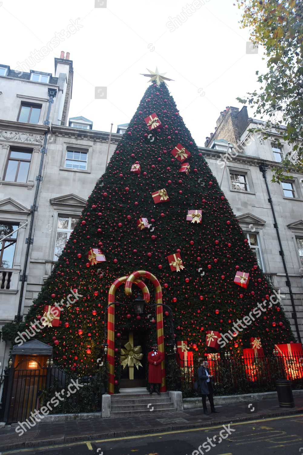 Giant Annabels Christmas Tree Editorial Stock Photo - Stock Image ...